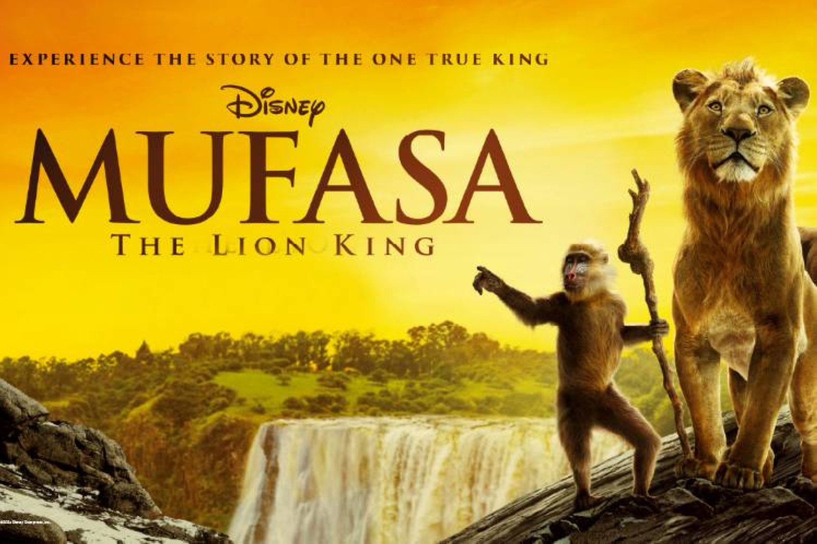 Thousands attend screening of ‘Mufasa’