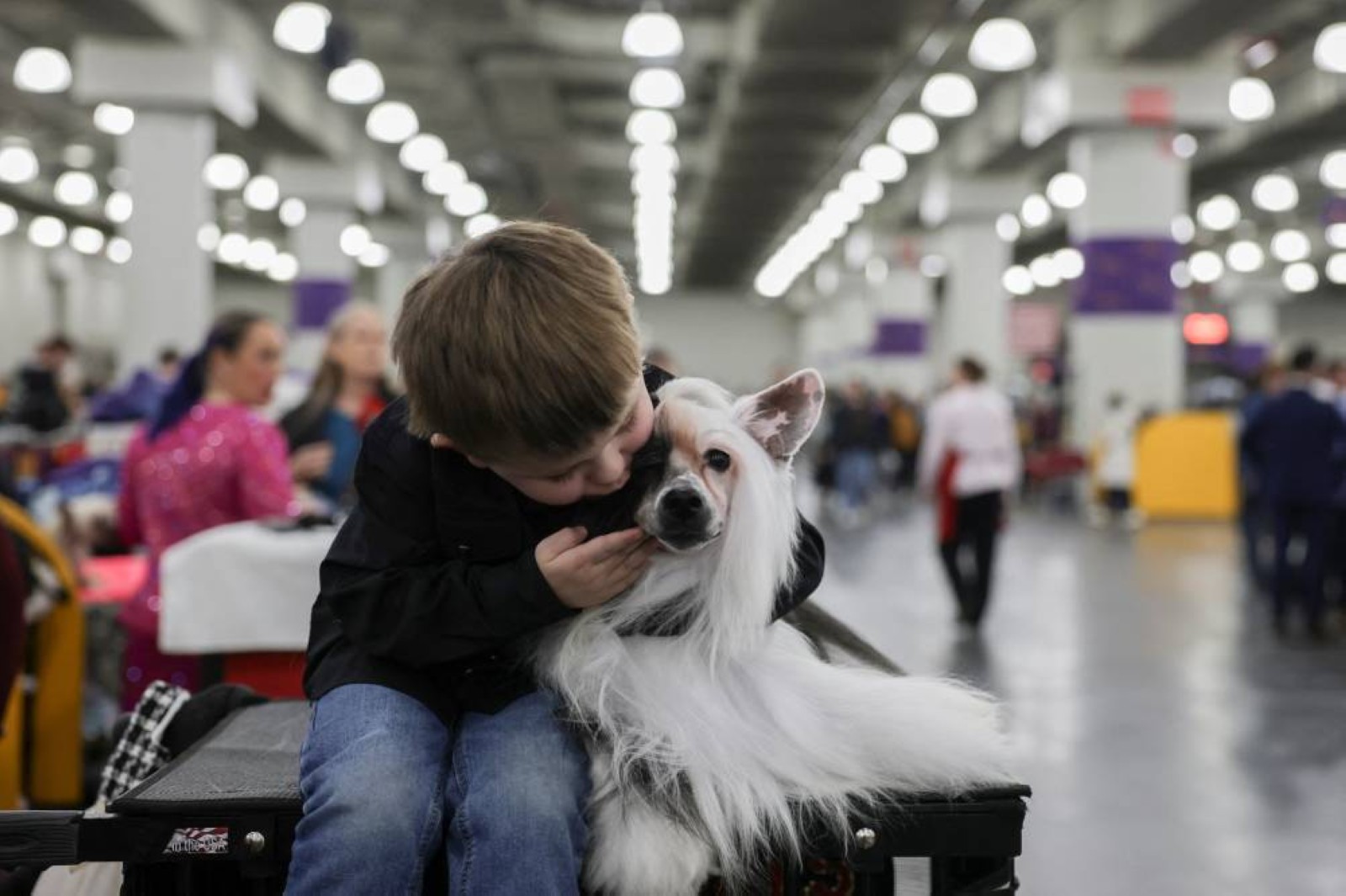 Sassy 'Wrassy': Dog show features creatures with fancy names