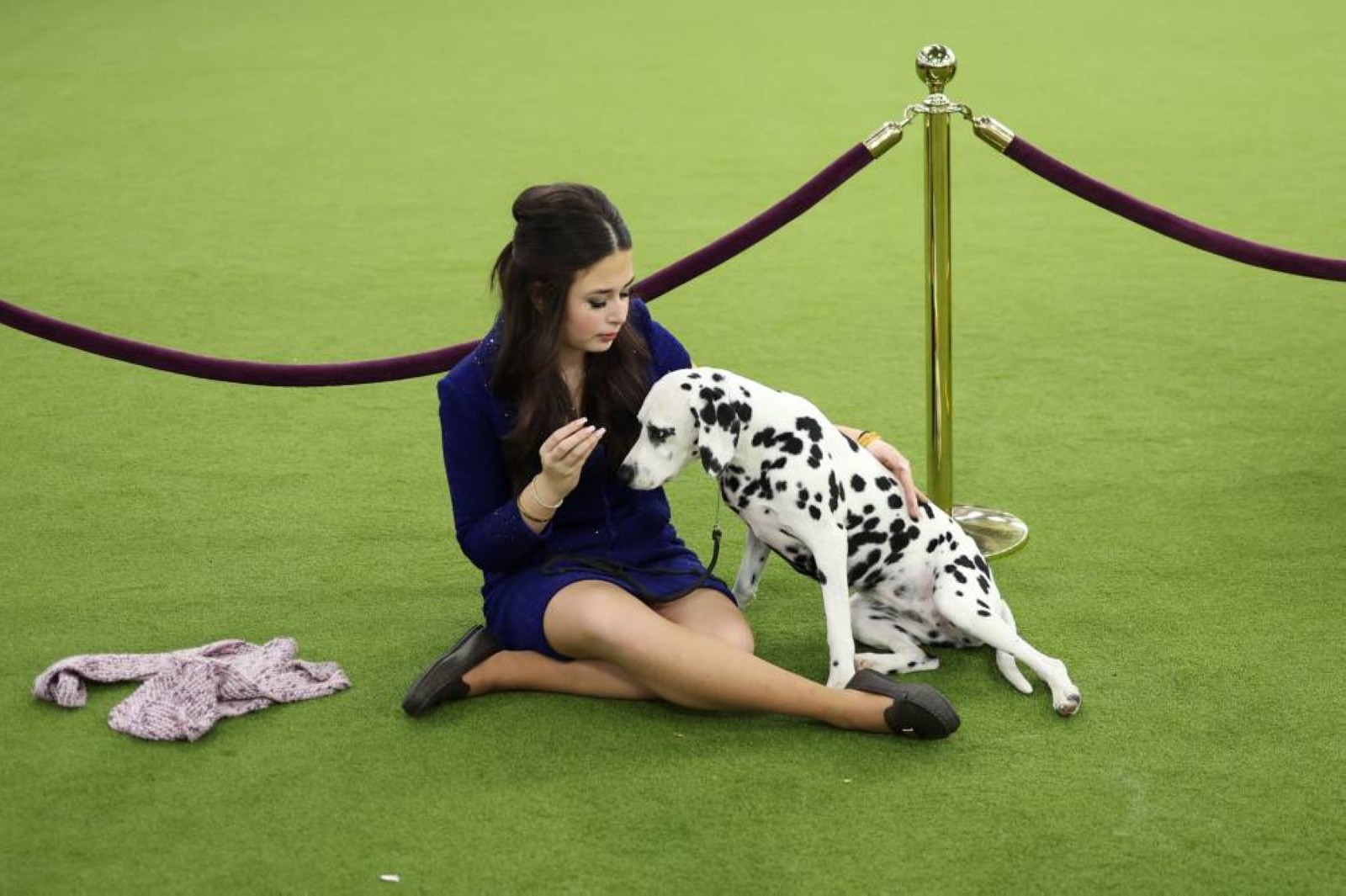 Sassy 'Wrassy': Dog show features creatures with fancy names