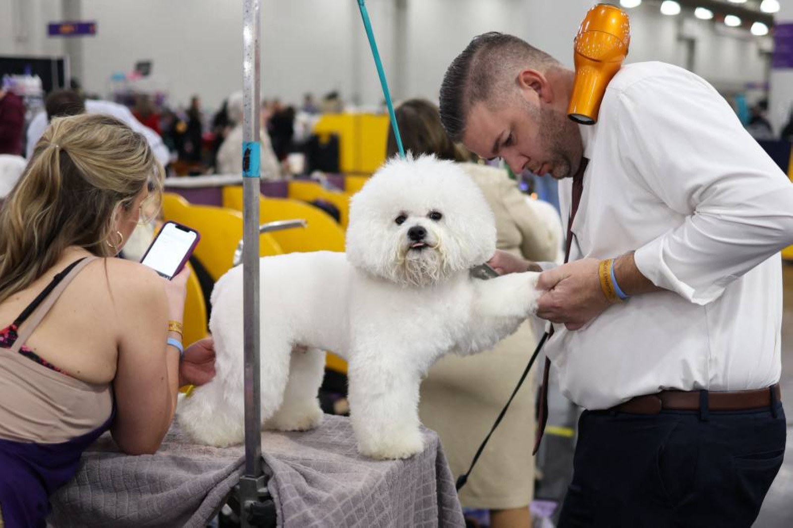 Sassy 'Wrassy': Dog show features creatures with fancy names