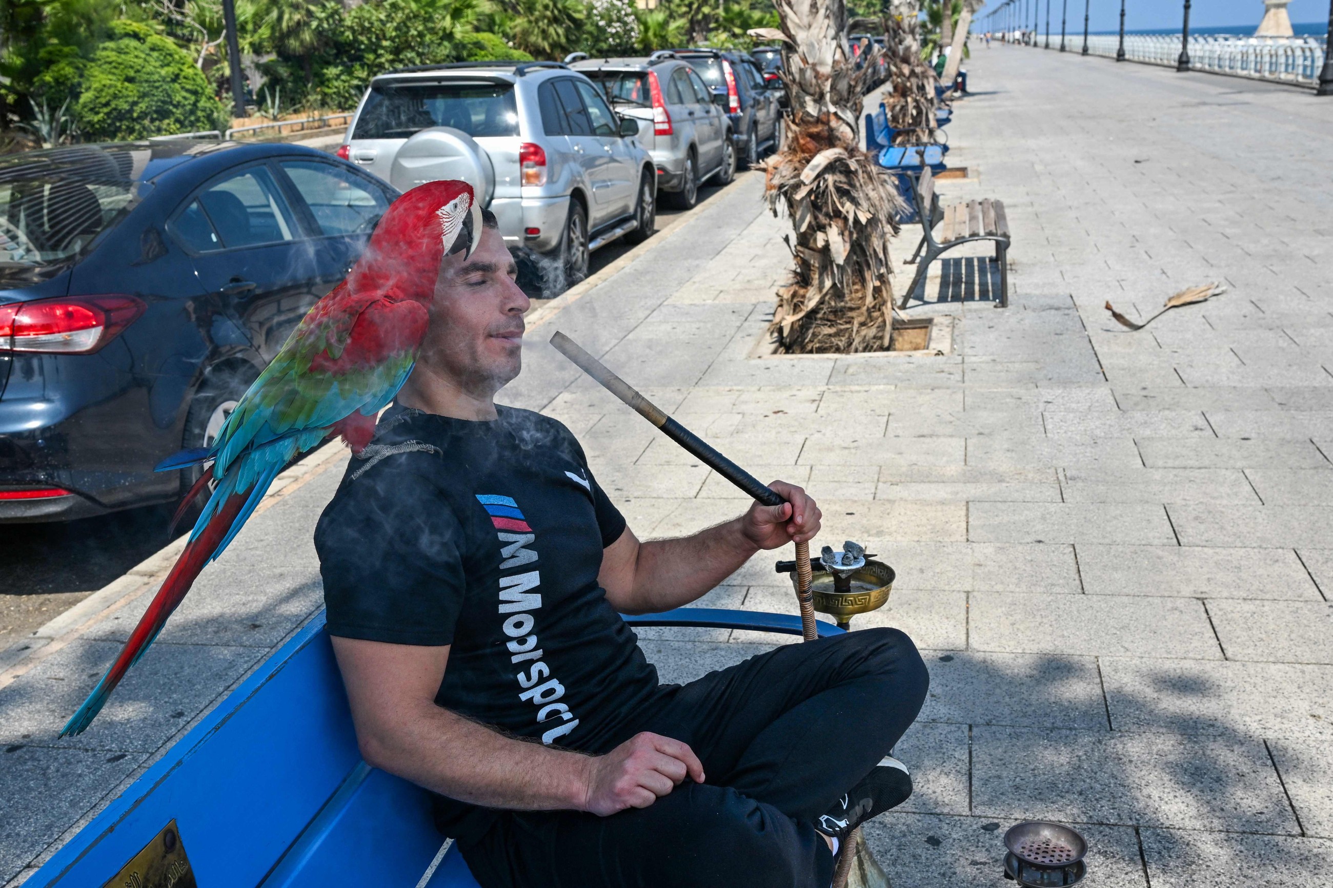 Strangers came to aid of beloved parrot