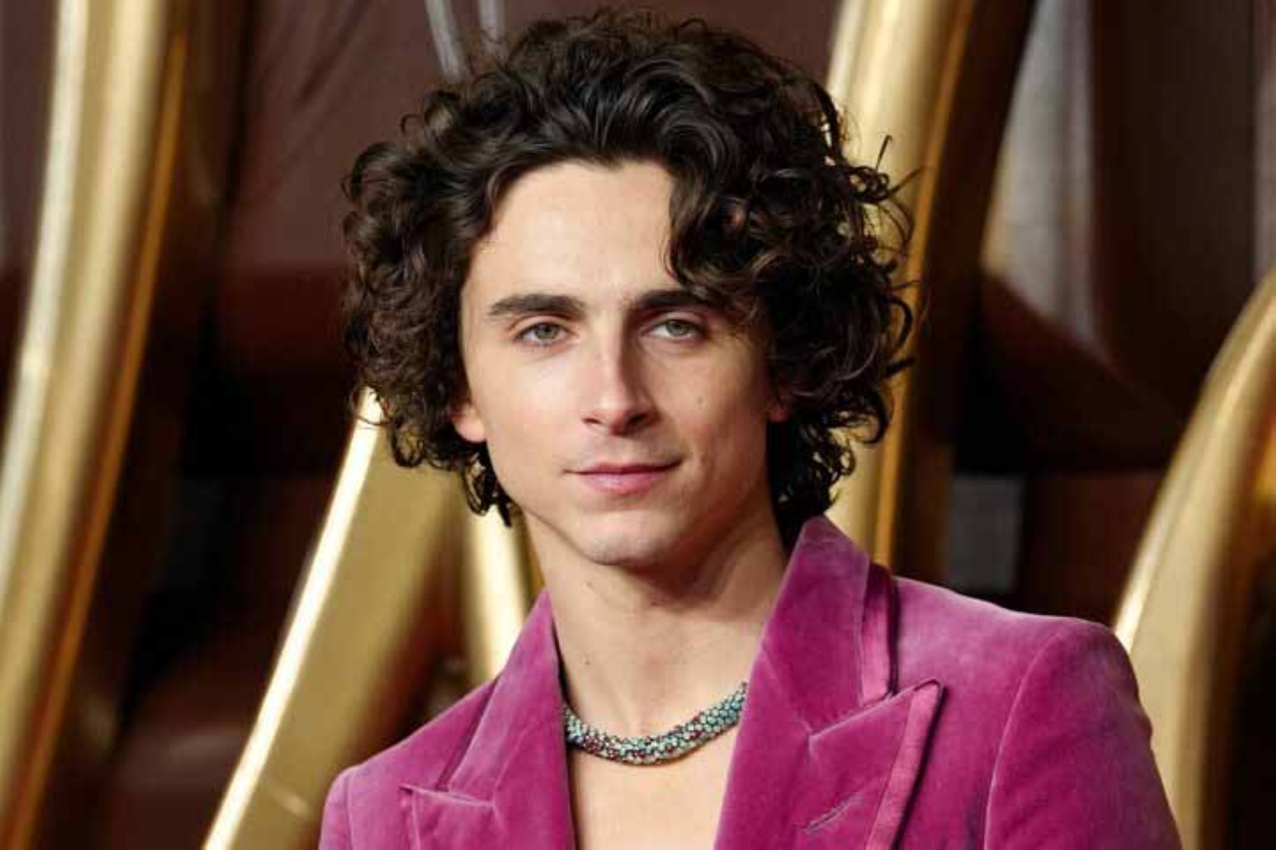Backlash against Club Chalamet reveals fandom hypocrisy
