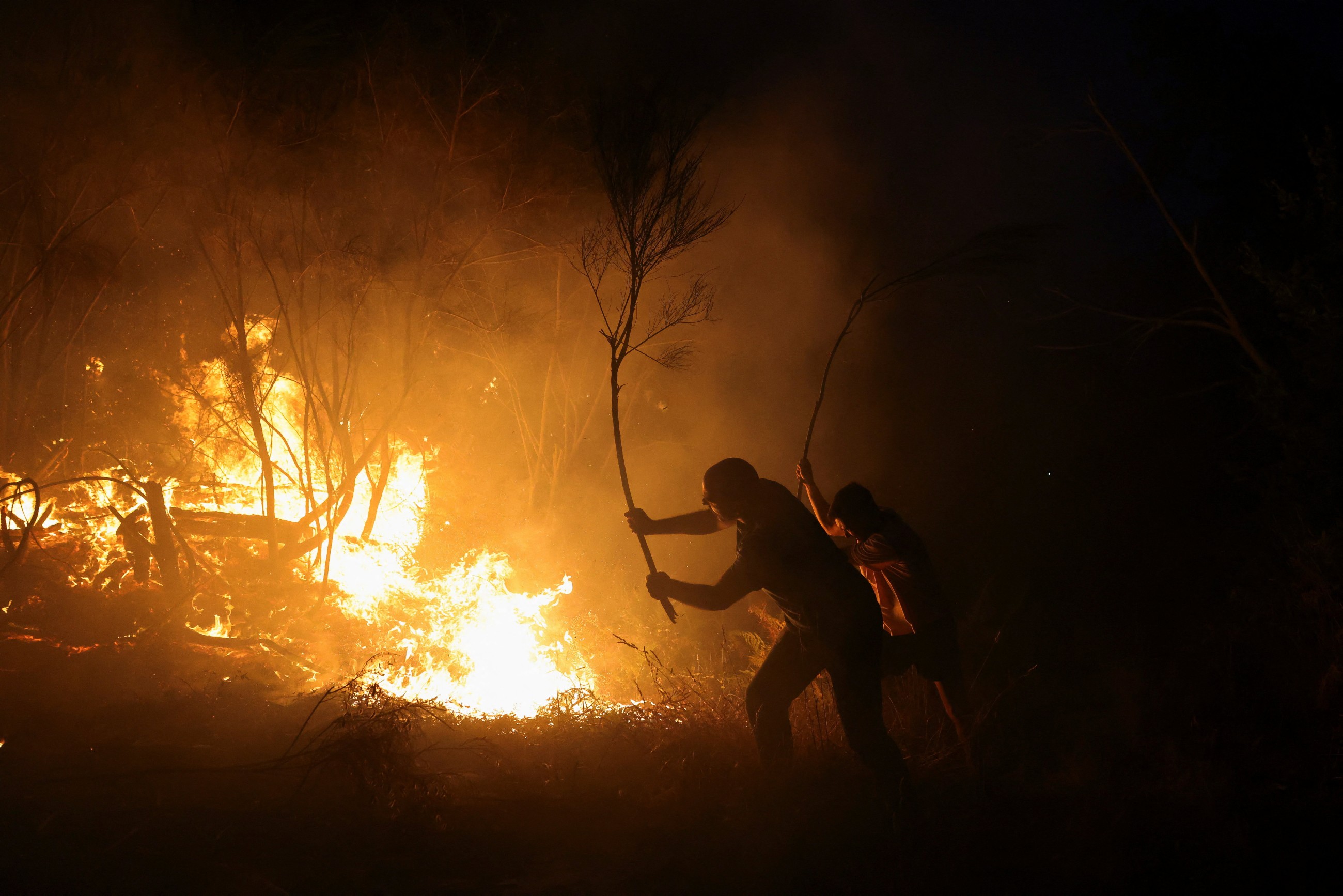 Global management of wildfires