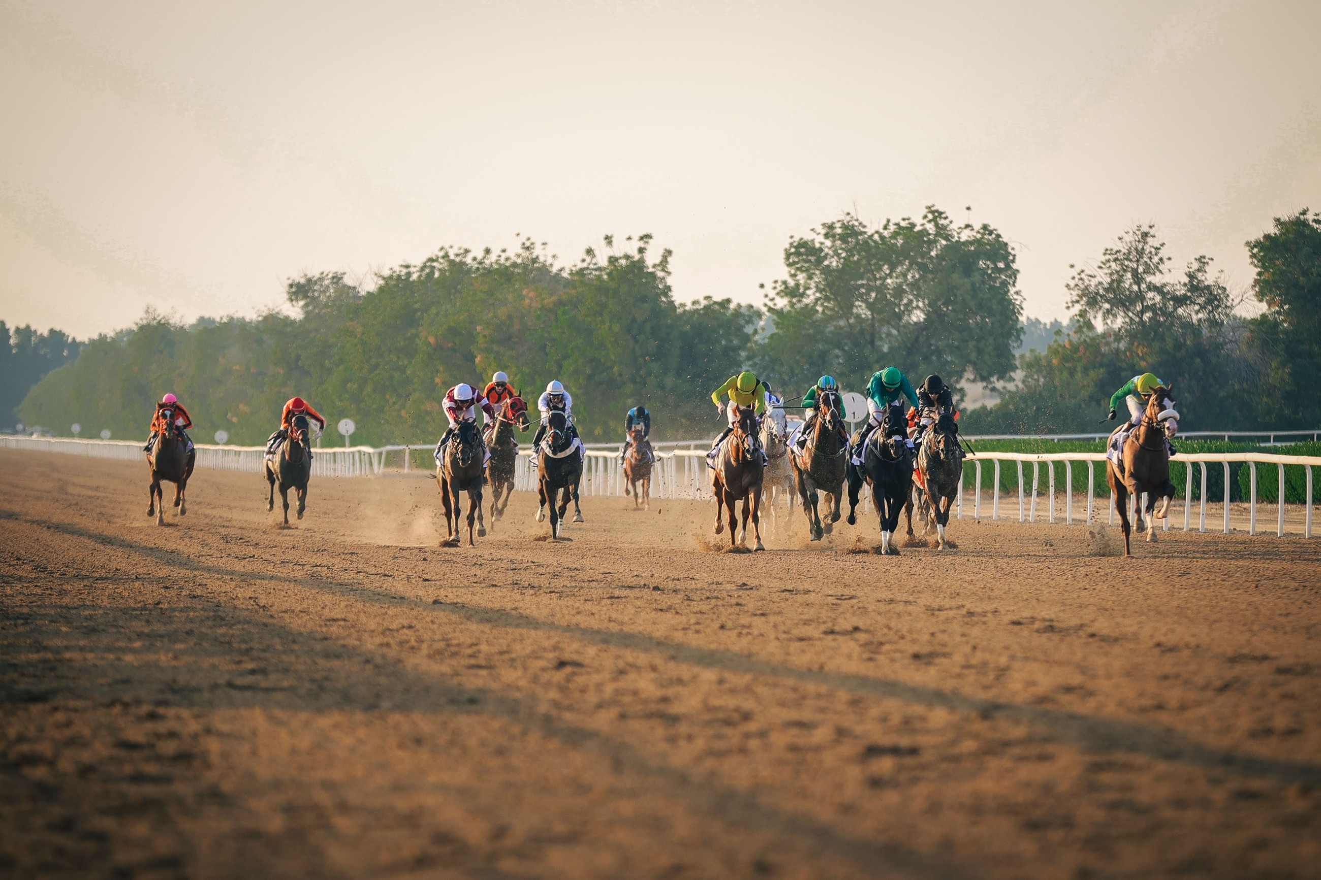 Crown Prince of Sharjah Cup and Sheikh Ahmed Cup attract strong field
