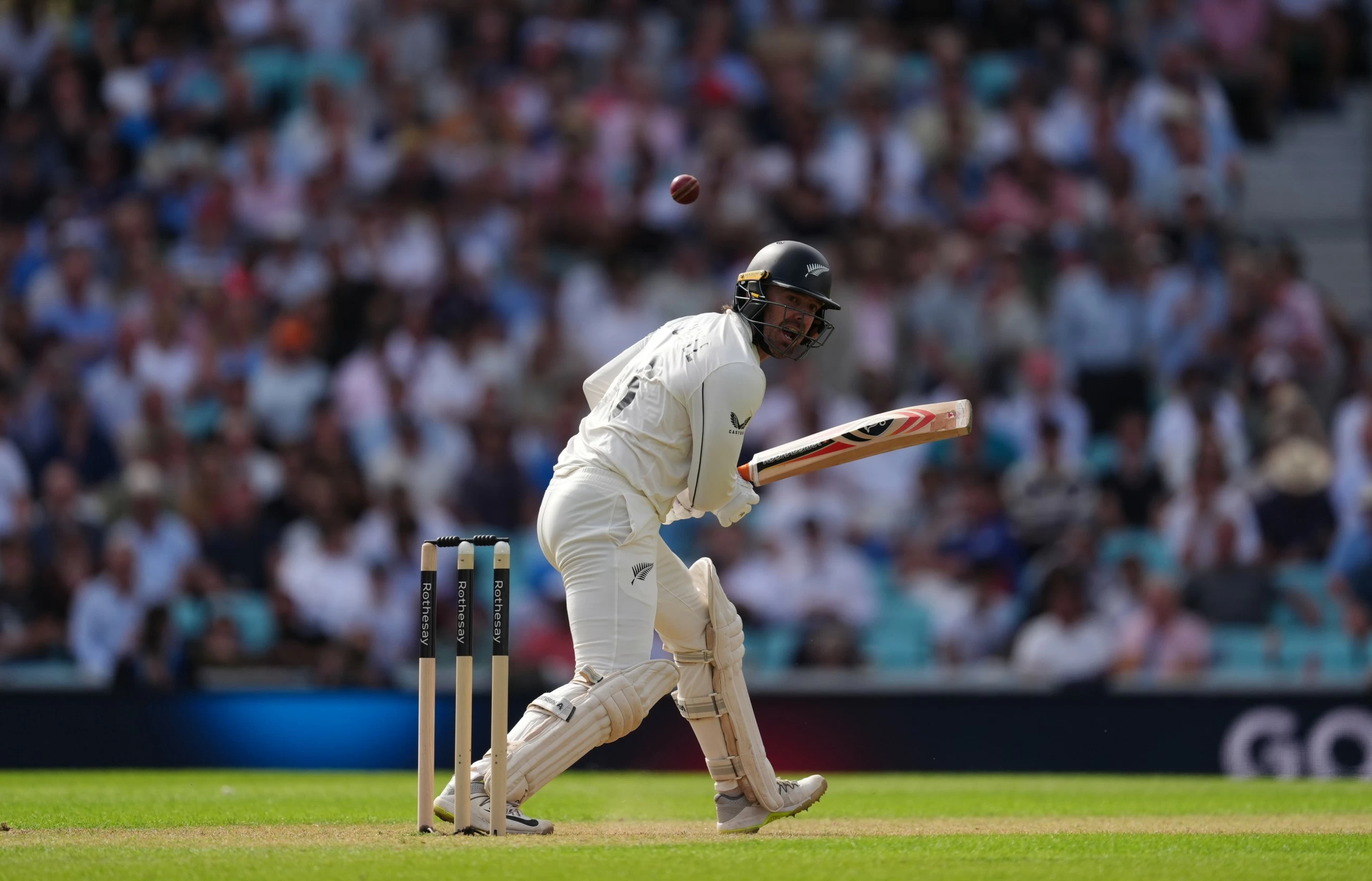 Blundell, Phillips lead New Zealand recovery against England
